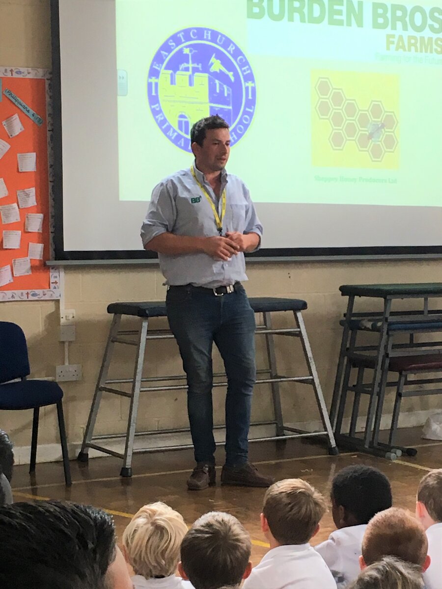 Burden Bros | Buzzy learning about bees