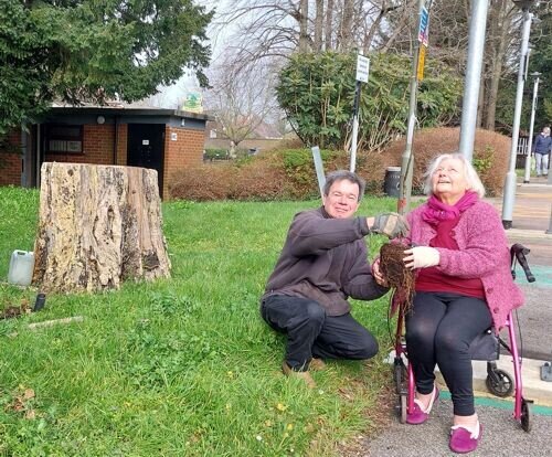 BRA Tree wardens plant five "birthday" heritage apple trees at Lower ...