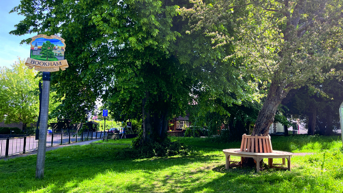 BRA installs Coronation Tree Bench at Lower Shott | Bookhams Residents Association