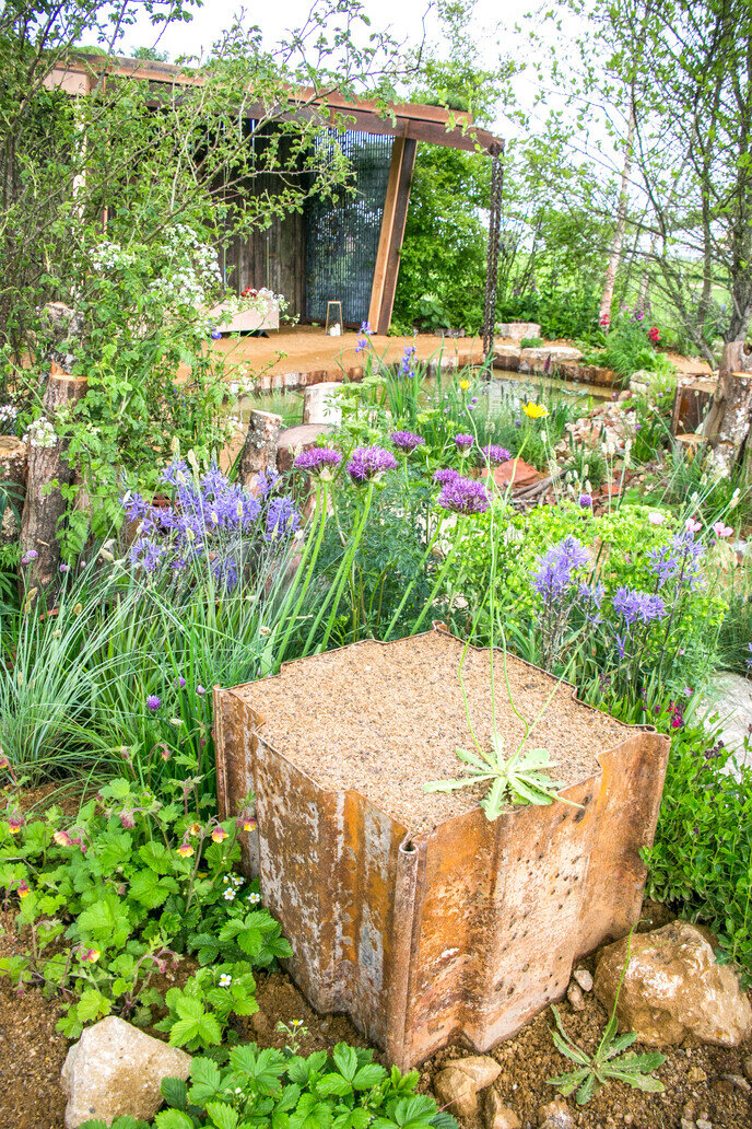 Designing gardens for wildlife | The Wildlife Trust Consultancies