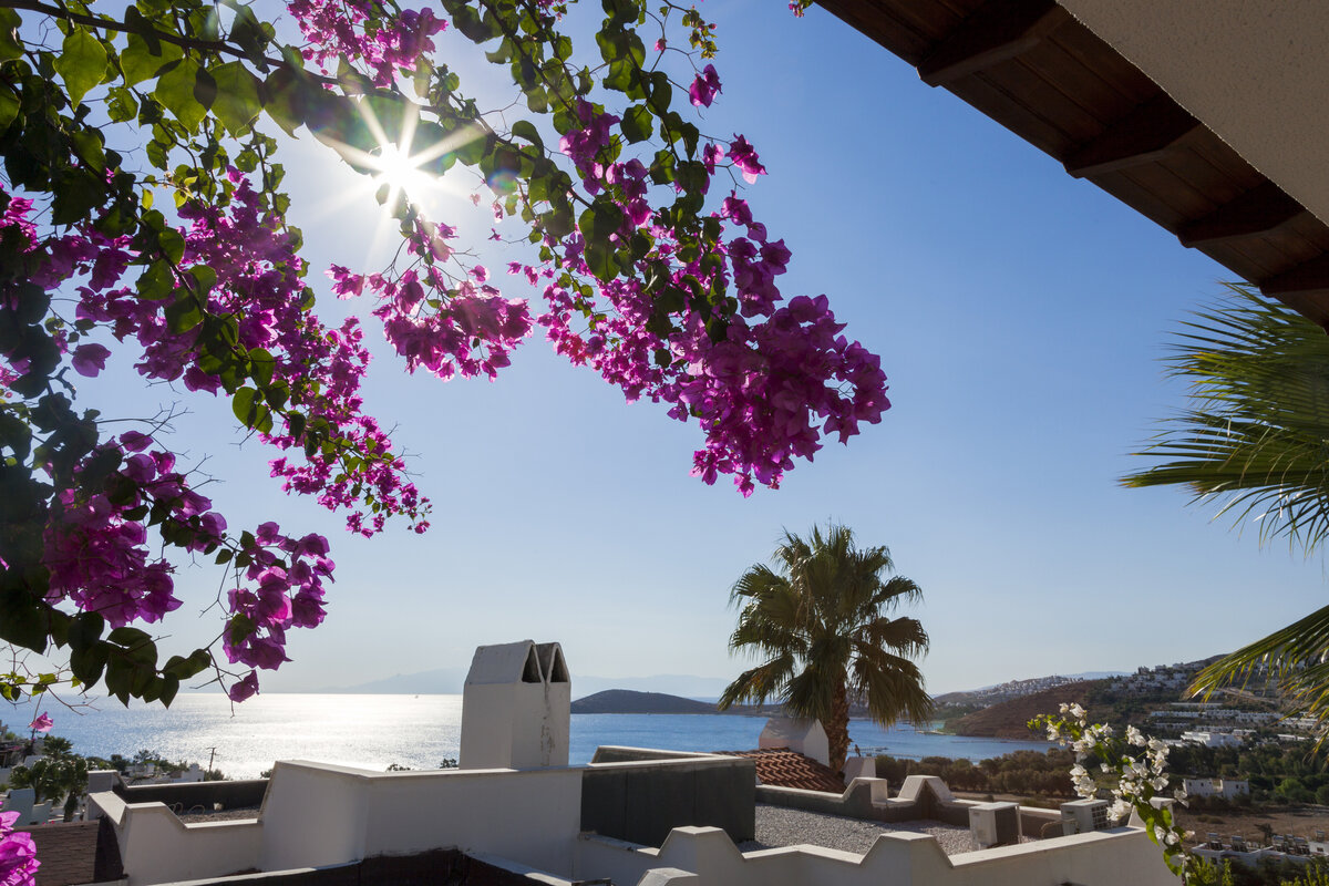 Very Cheap Bodrum Holidays 2024 & 2025