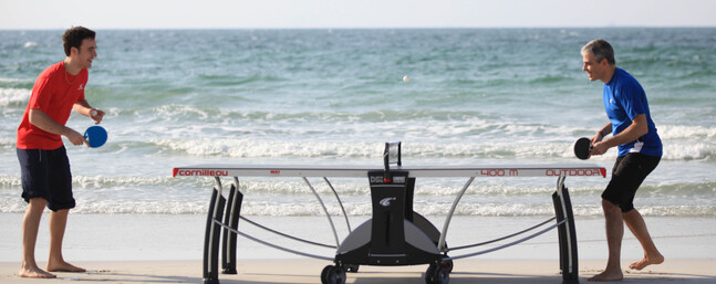 FJ North Lda | Table Tennis : Interesting Facts