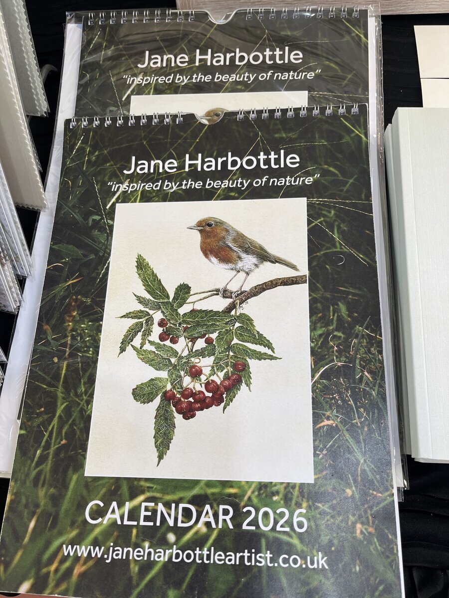 Plan Your 2026 with Stunning Wildlife Art | Jane Harbottle Artist