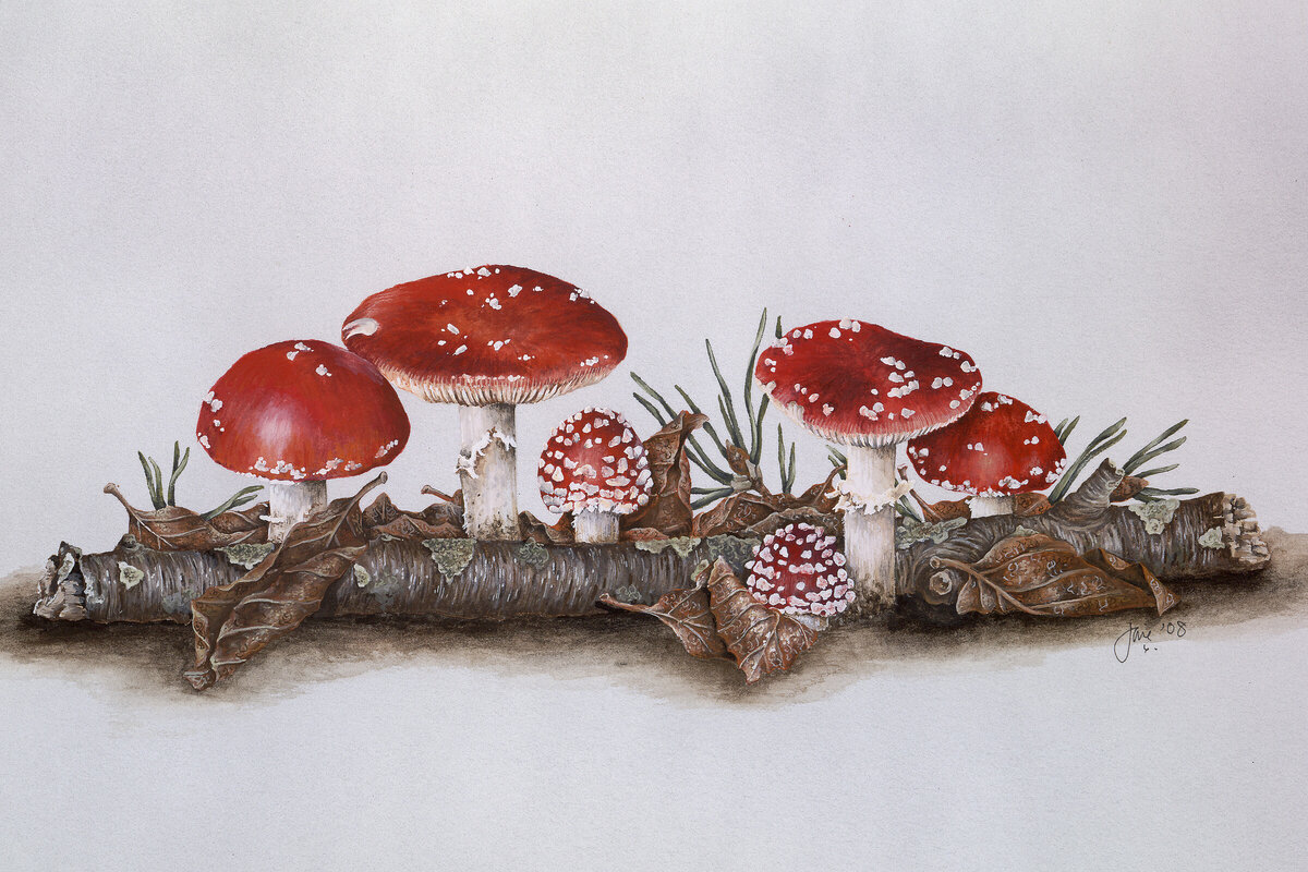 Upcoming Shows & Christmas Fairs 2023 | Jane Harbottle Artist