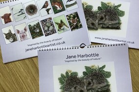 Wildlife Artist Northumberland UK | Jane Harbottle Artist