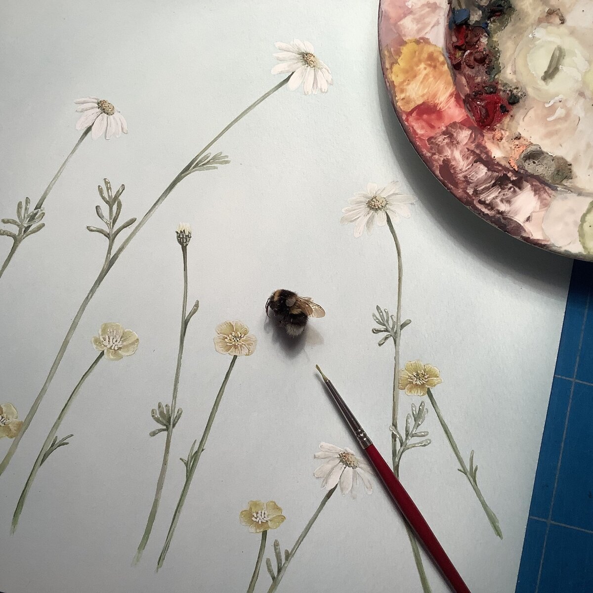The Borders Art Fair 2024 | Jane Harbottle Artist