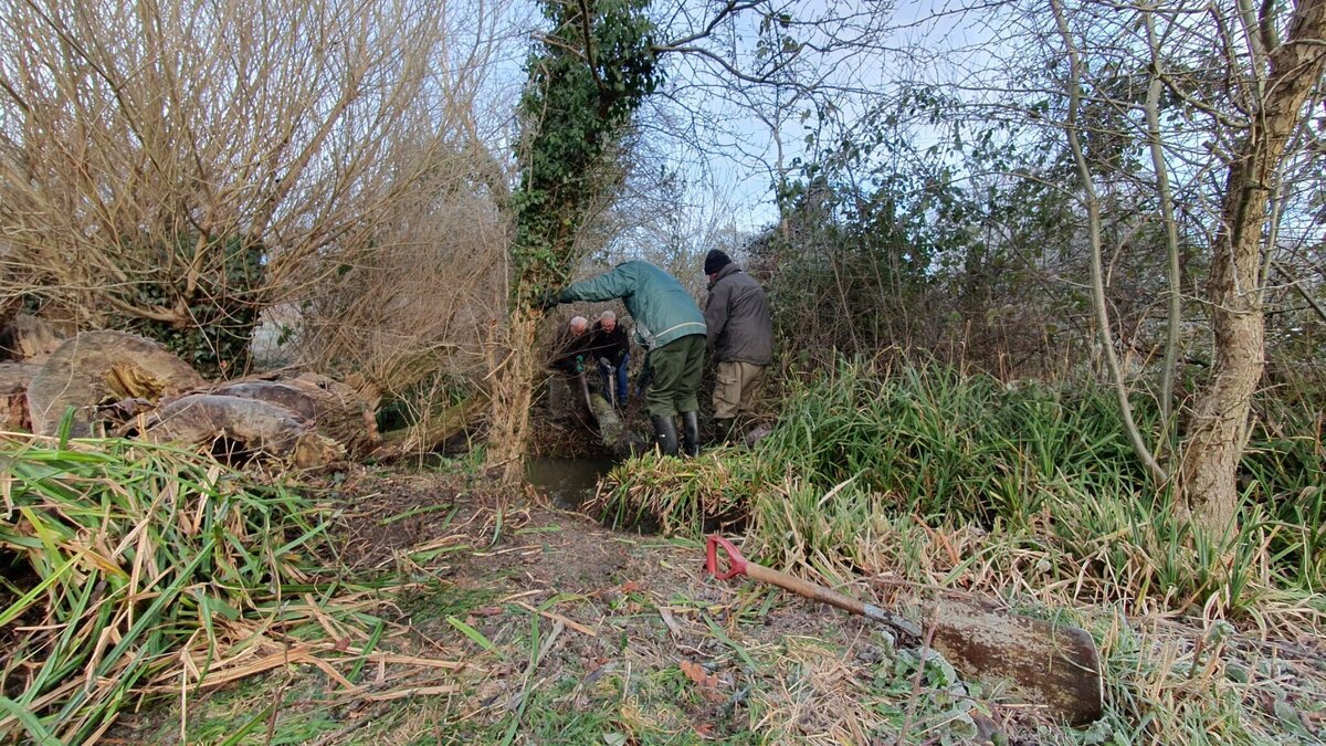 Log removal that was blocking the brook | Rye Meadows