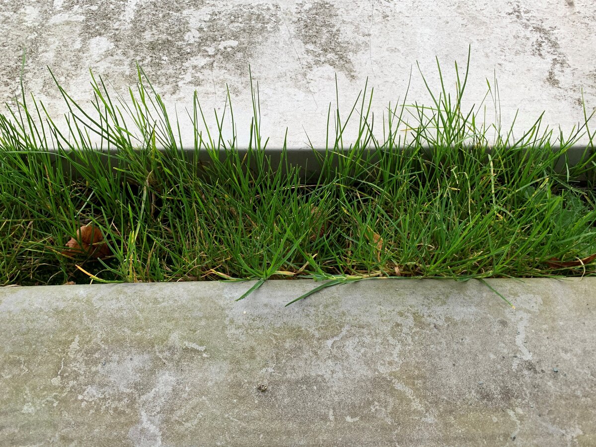 Gutter Cleaning | Hydro-Active