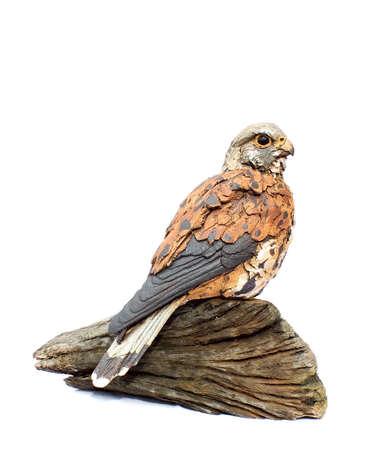 Kestrel | Simon Griffiths Sculpture