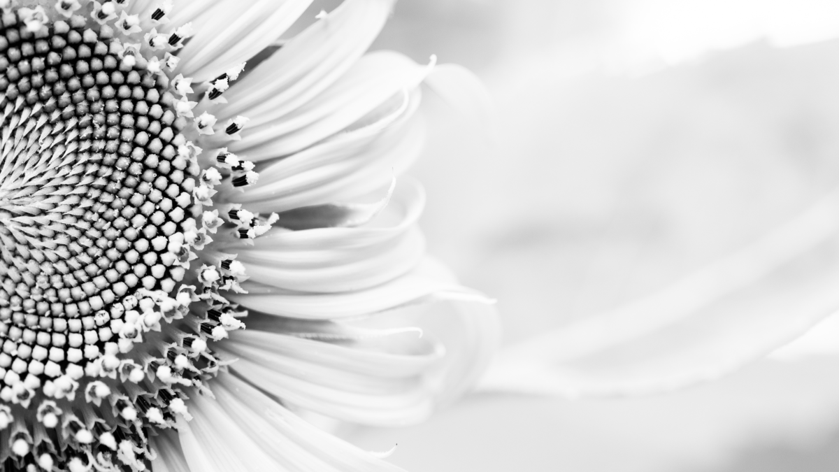 Neuro Linguistic Programming ( NLP ) | SB Hypnotherapy Neuro Linguistic Programming ( NLP ) | SB Hypnotherapy