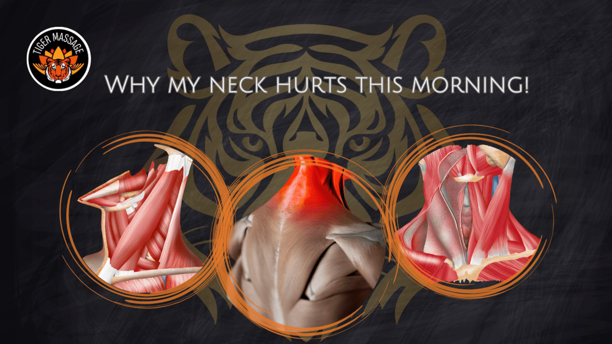 Ouch! My neck hurts this morning! | Tiger Therapy