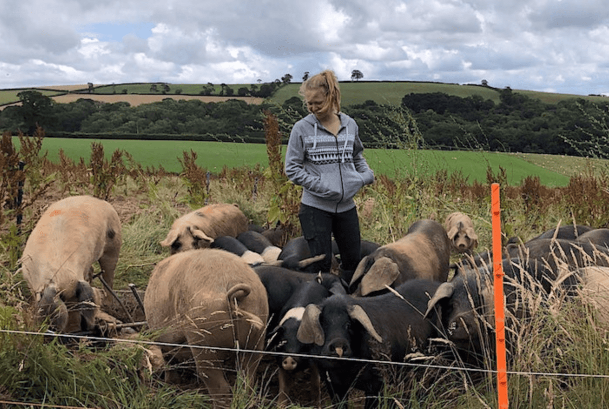 Redwoods Farm | Pasture for Life farm visit - soy free pastured pigs ...