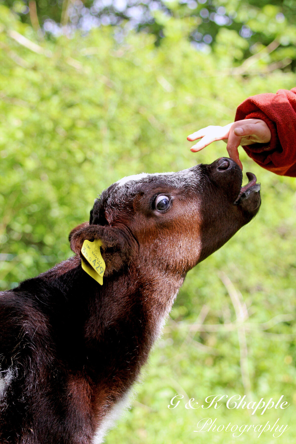 Redwoods Farm | Quality Farm produce, never rushed